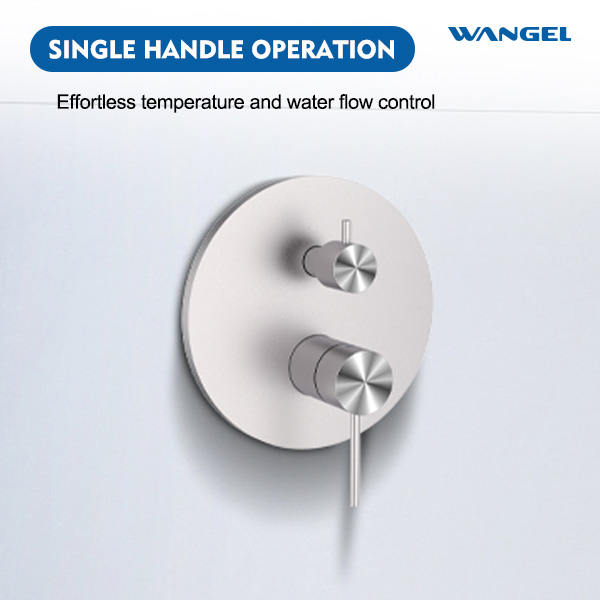 Stainless Steel Concealed Two Function Shower Valve Wall Mounted ...