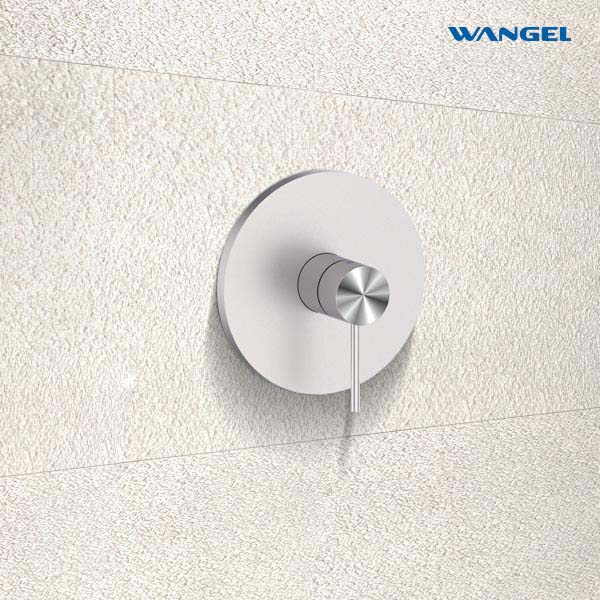 High Quality Round Concealed Single Function Shower Valve - Wangel ...